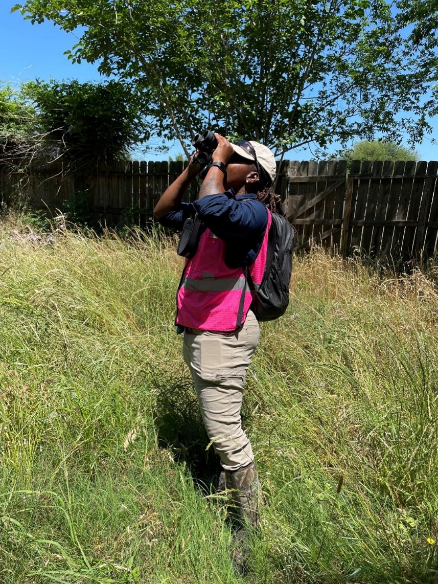 Protecting Nature's Balance: The Vital Role of Protected Species ...